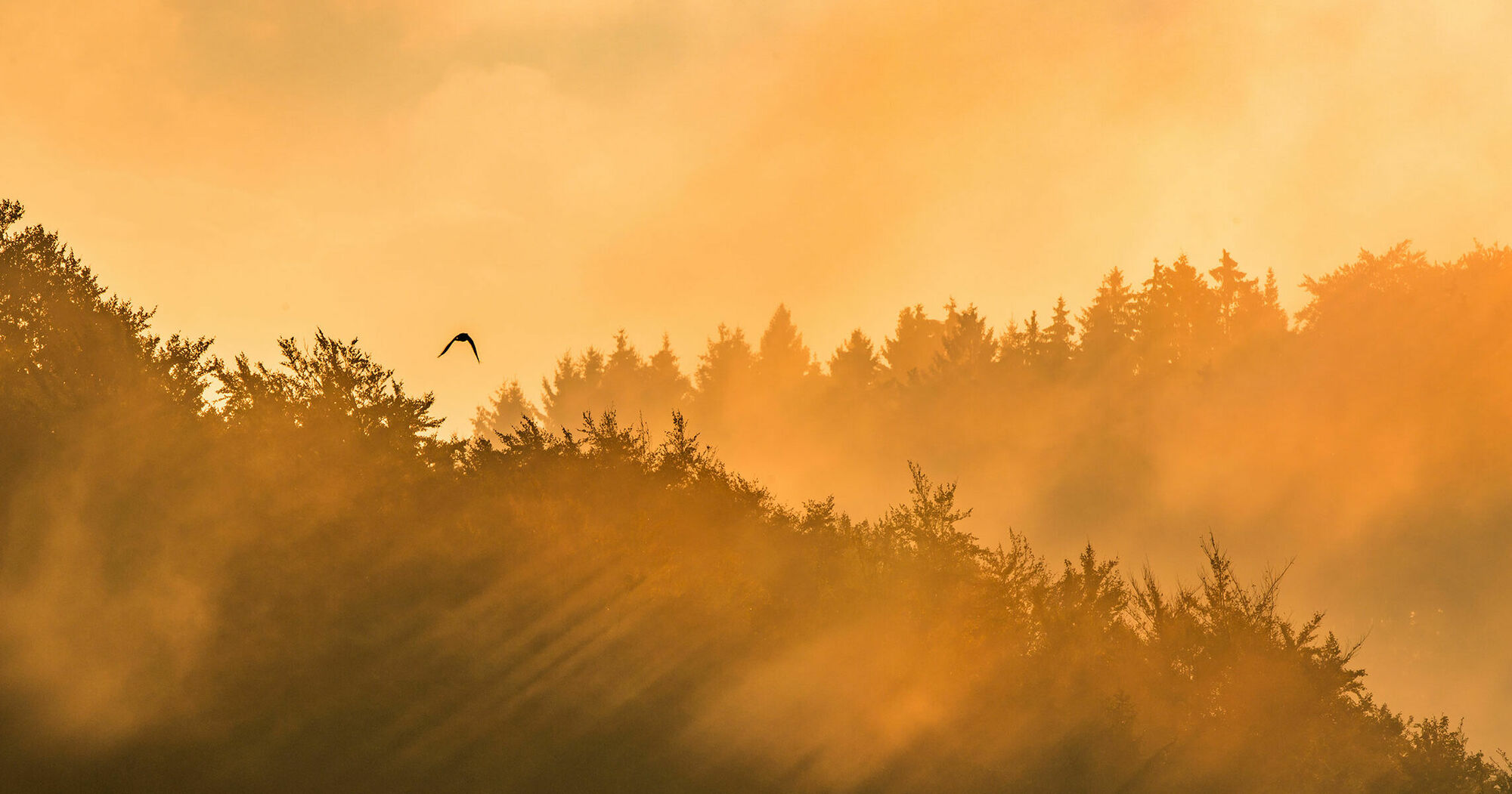 The most beautiful sunny spots in Schmallenberg and Esloh Sauerland
